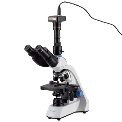 Prepared Human Histology Slide Set, 40X-2000X LED AmScope Trinocular ...